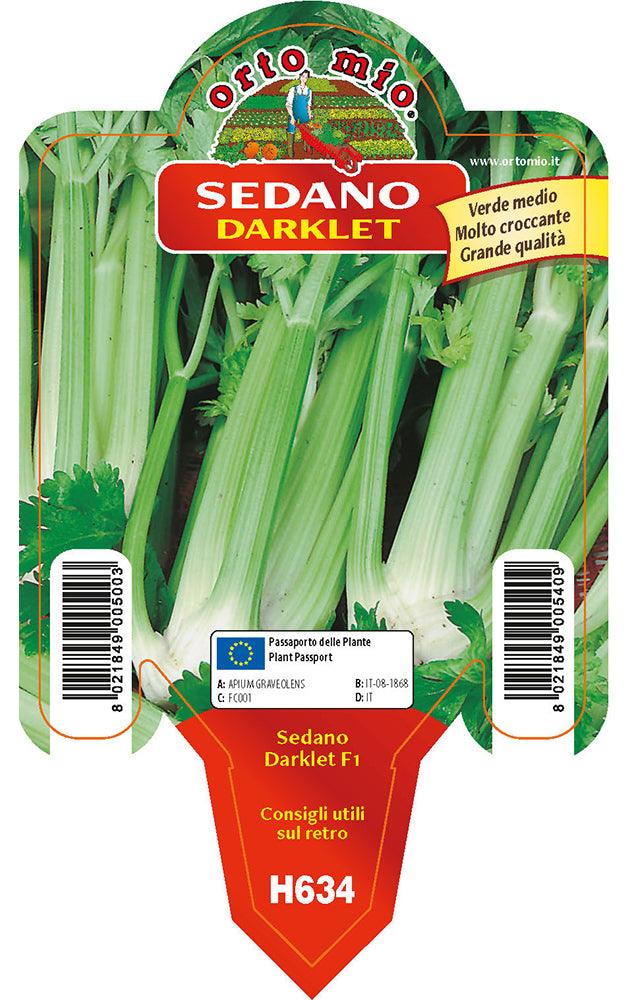 3 PFLANZEN IN EINEM 10CM Ø TOPF MIT DUNKELGRÜNEM SELLERIE – Peragashop