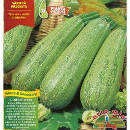6 PLANTES EN PACK COURGETTE LIGHT GRAFFITI ORTOMIO
