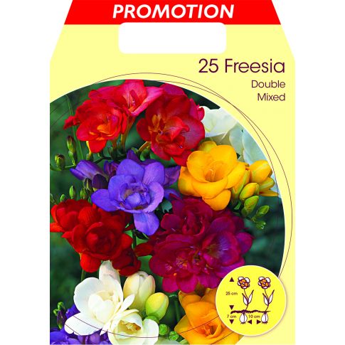 Freesia Double Mixed Confezione da 20 Bulbi